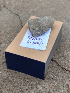 Snake in a Box – Noel's Notes